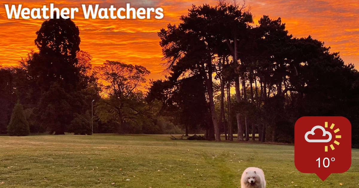 Report - BBC Weather Watchers