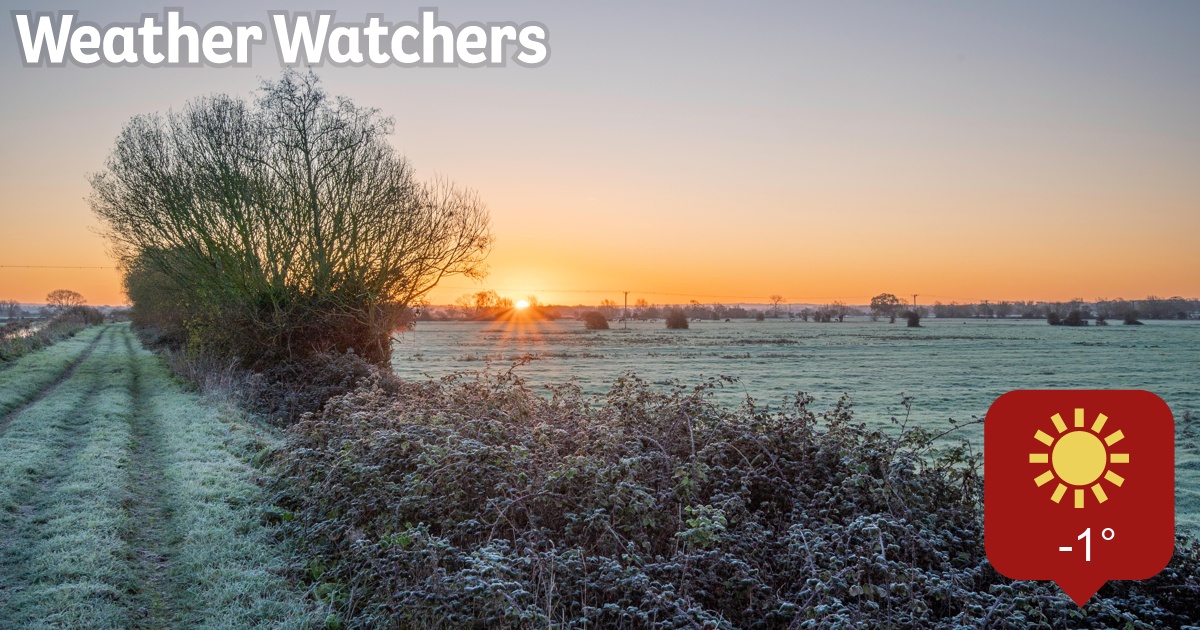 Report - BBC Weather Watchers