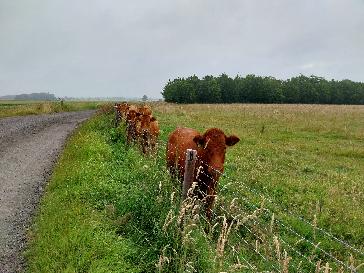 Hinckley - BBC Weather