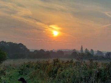 Silverstone - BBC Weather