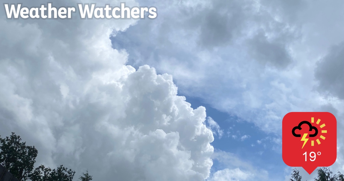 Report - BBC Weather Watchers