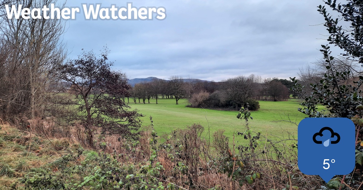 Report - BBC Weather Watchers