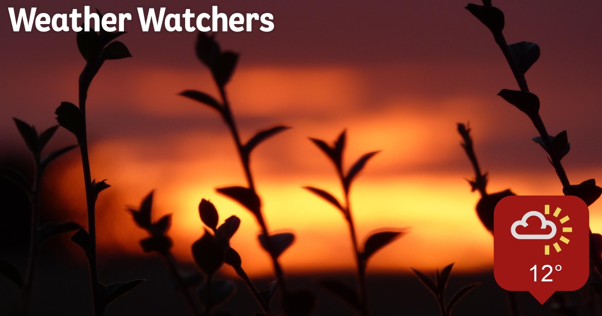 Report - BBC Weather Watchers