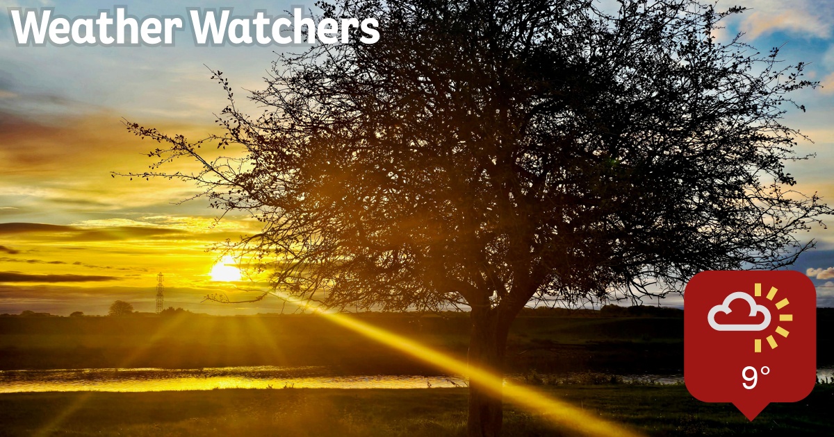 Report - BBC Weather Watchers