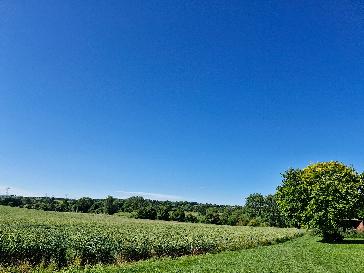 Hatfield - BBC Weather