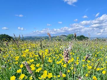 Bargoed - BBC Weather