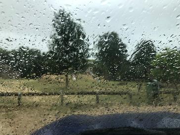 Basingstoke - BBC Weather