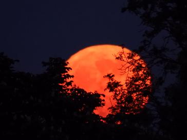 Bingley - BBC Weather