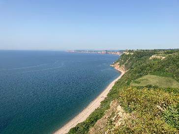 Torquay - BBC Weather