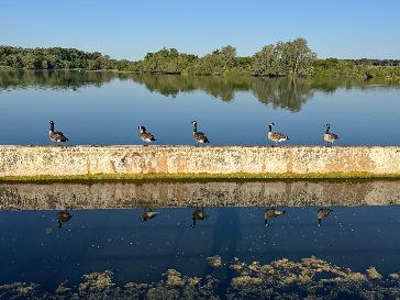 Stevenage - BBC Weather
