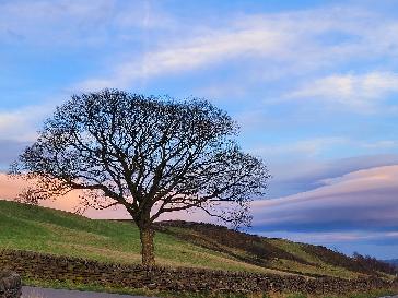 Hatfield - BBC Weather