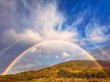 Buckley - BBC Weather