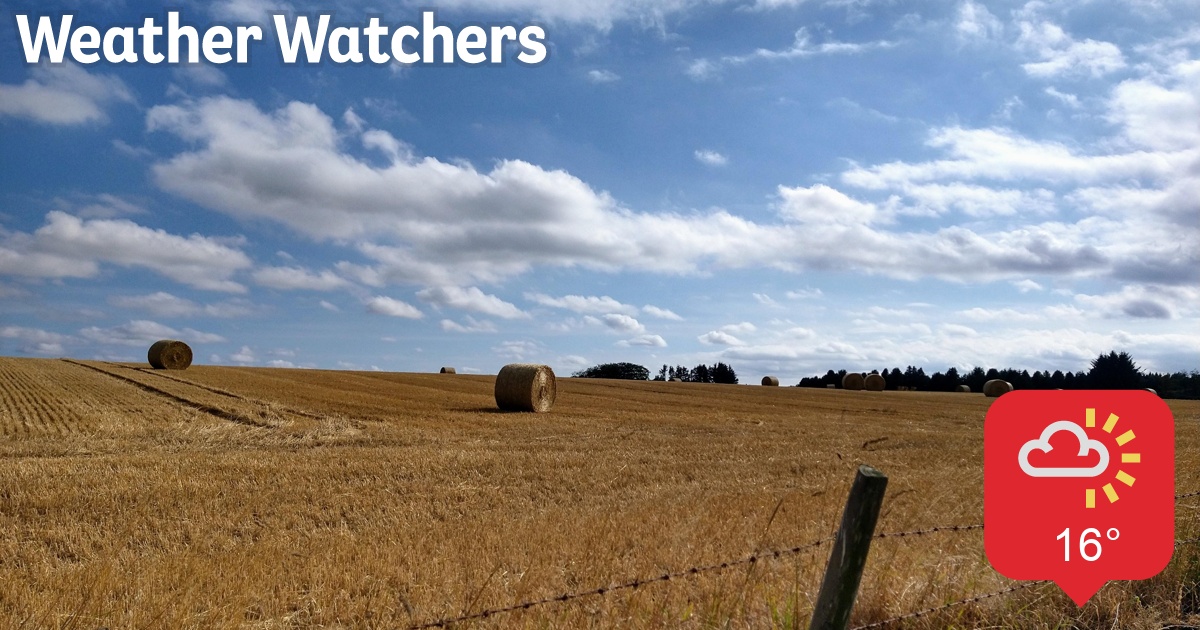 Report - BBC Weather Watchers