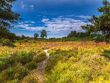 Basingstoke - BBC Weather