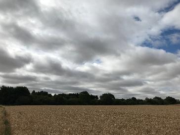 Cambridge - BBC Weather