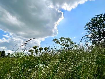 Warwick - BBC Weather