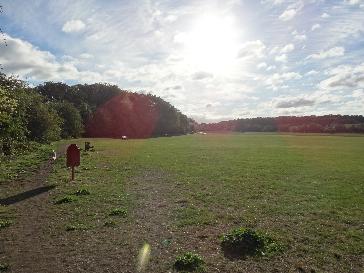 Bromley - BBC Weather