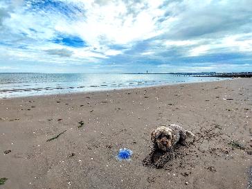 Rosyth - BBC Weather