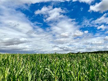 Luton Airport - BBC Weather