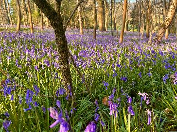 Evesham - BBC Weather