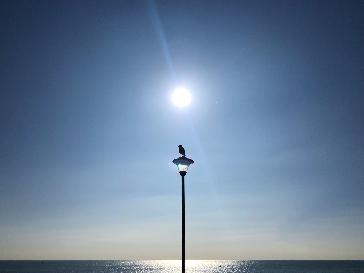 Eastbourne - BBC Weather