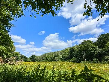 Cardiff - BBC Weather