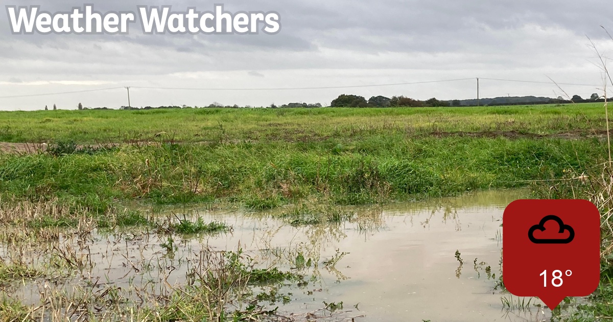 Report - BBC Weather Watchers