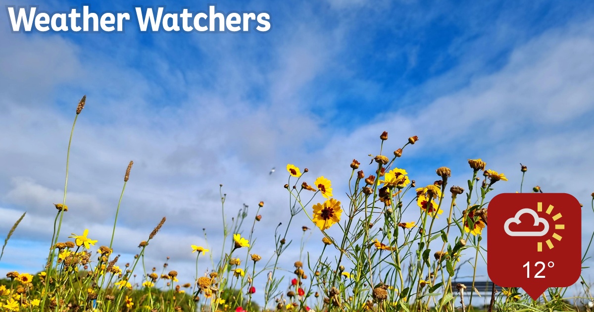 Report - BBC Weather Watchers