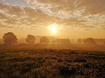 Coventry - BBC Weather