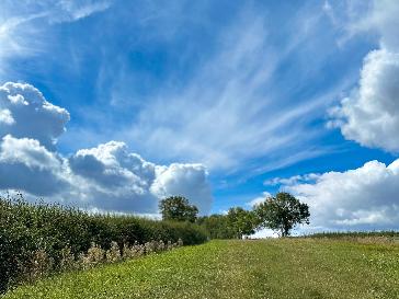 Hinckley - BBC Weather