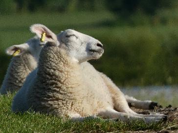 Nottingham - BBC Weather