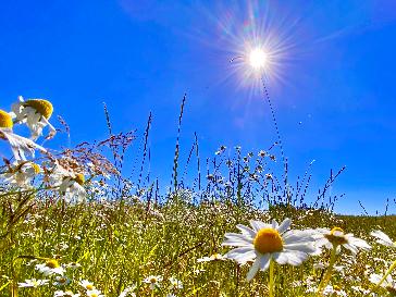 Longforgan - BBC Weather