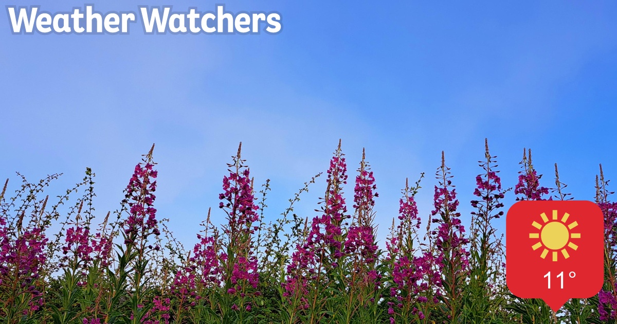 Report - BBC Weather Watchers