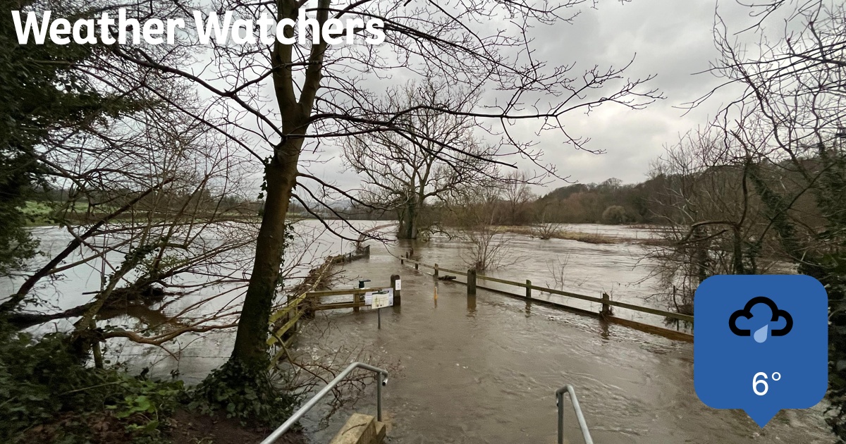 Report - BBC Weather Watchers
