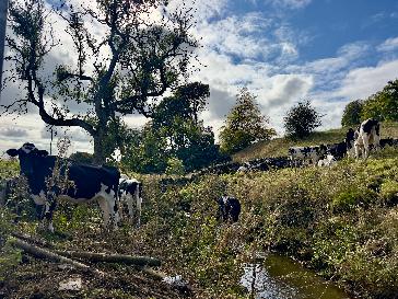 Audley - BBC Weather