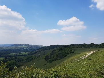 Guildford - BBC Weather