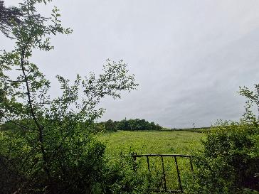 Irvine - BBC Weather