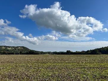 Bargoed - BBC Weather