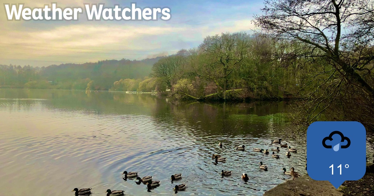 Report - BBC Weather Watchers