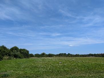 Chester - BBC Weather