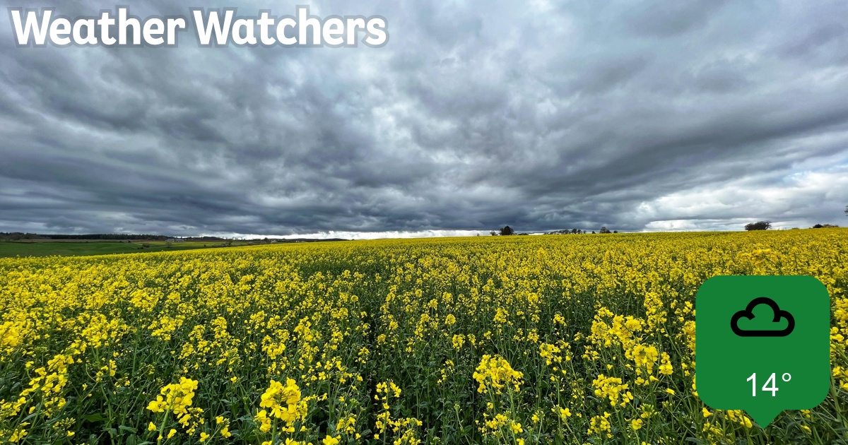 Report - BBC Weather Watchers