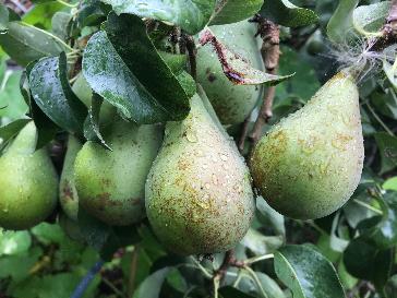 Basingstoke - BBC Weather