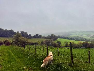 Tewkesbury - BBC Weather