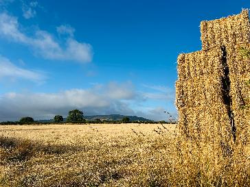 Oswestry - BBC Weather