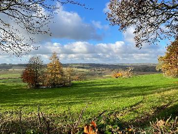 Stamford - BBC Weather