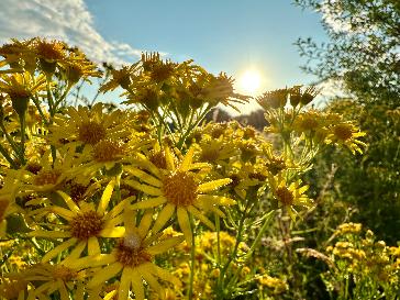Nottingham - BBC Weather