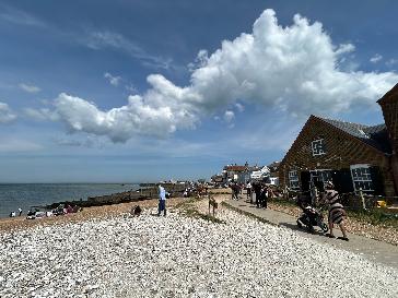 Tonbridge - BBC Weather