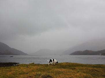Isle of Bute - BBC Weather
