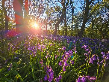 Bingley - BBC Weather