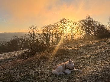 Gloucester - BBC Weather